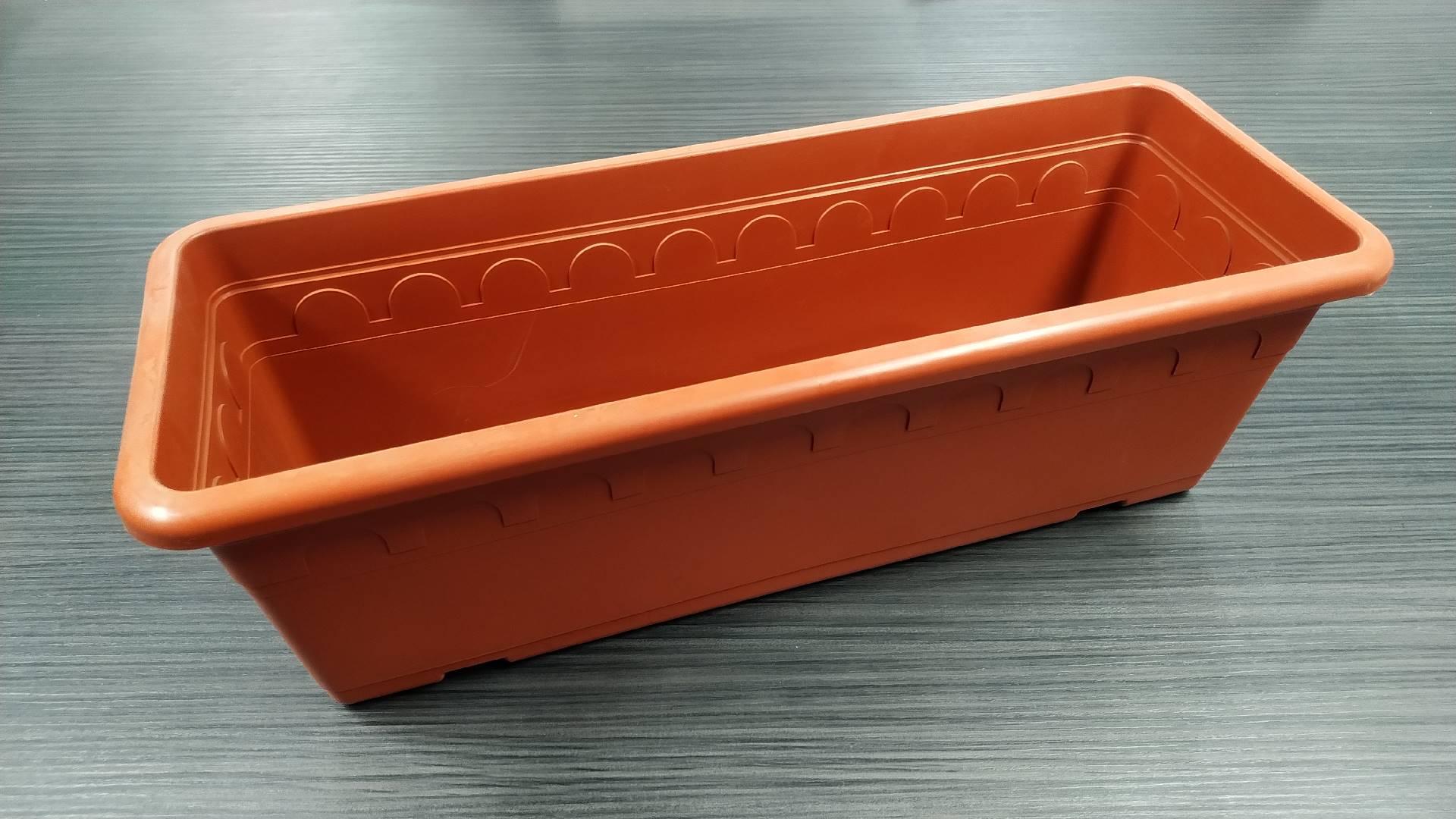 Horticultural - SNCaulonque_EN