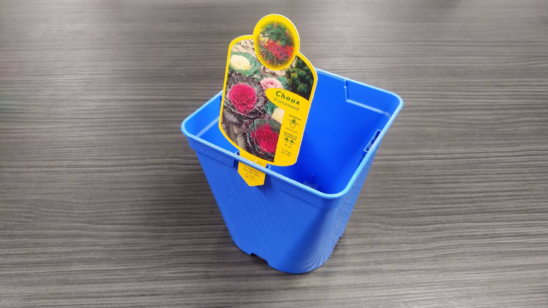 Horticultural - SNCaulonque_EN