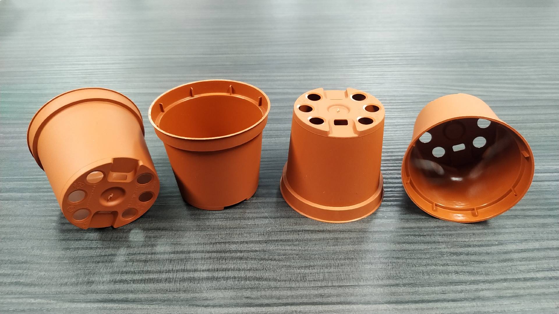 Horticultural - SNCaulonque_EN